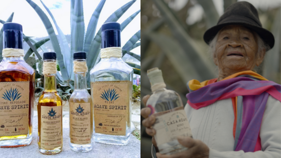 Miske Casa Agave posiciona a Ecuador en el mundo | La Nota Latina